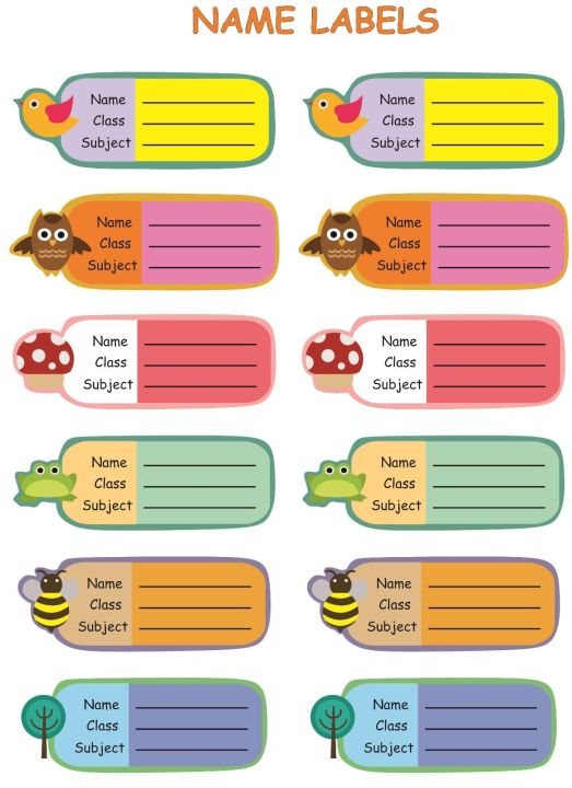 Name Labels for kids notebooks | Daraz.pk