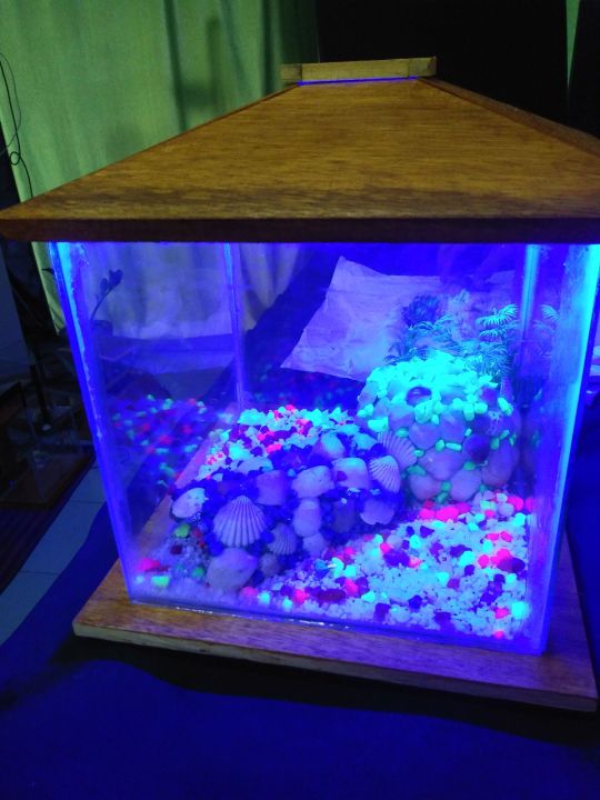 Fish Tank with wood frame | Daraz.lk