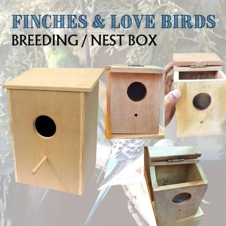Breeding box for small birds | Love Birds, Finches, Gouldian | Bird ...