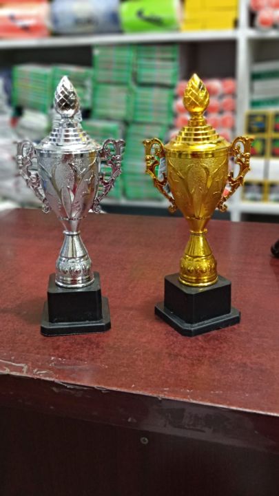 Gold Silver Mini Trophy 8 Inch 1 Pcs Bd