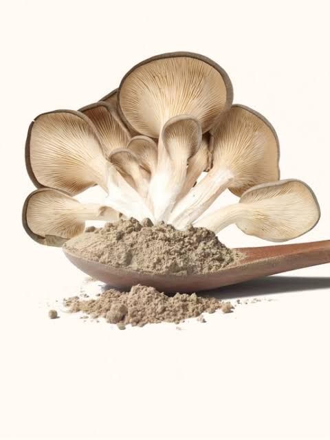 Oyester Dry Mushroom Mushroom Powder 50g Western Dry Mashroom powder ...