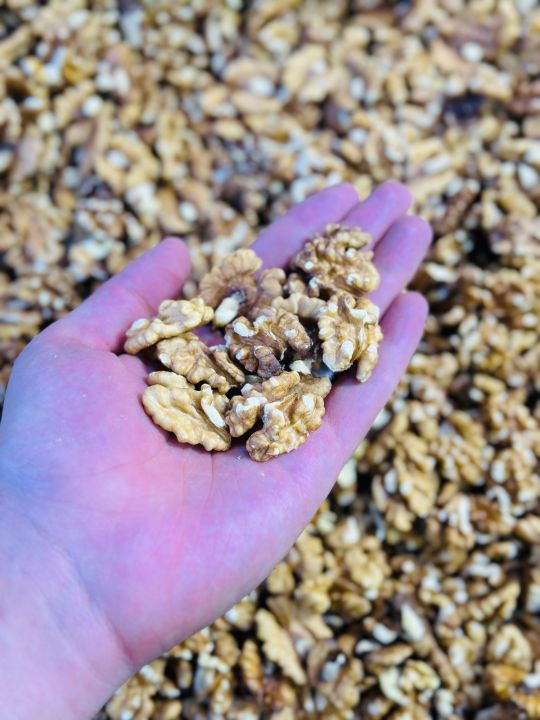 Walnuts Akhrot Without Shell -500grams | Daraz.pk