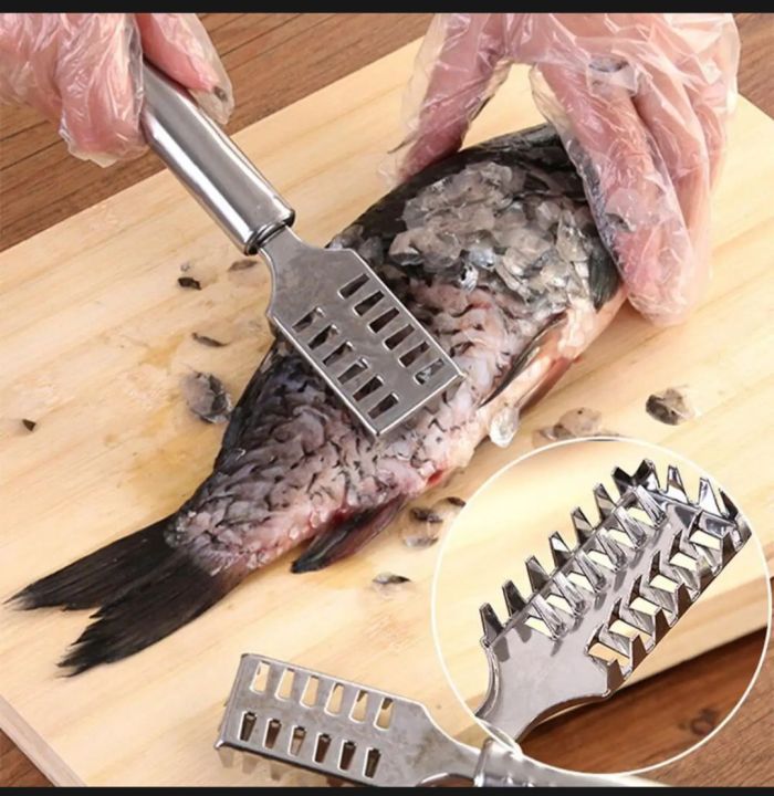 Stainless Steel Fish Skin Remover Scale Cleaner Scaler Skinner -1 pcs ...