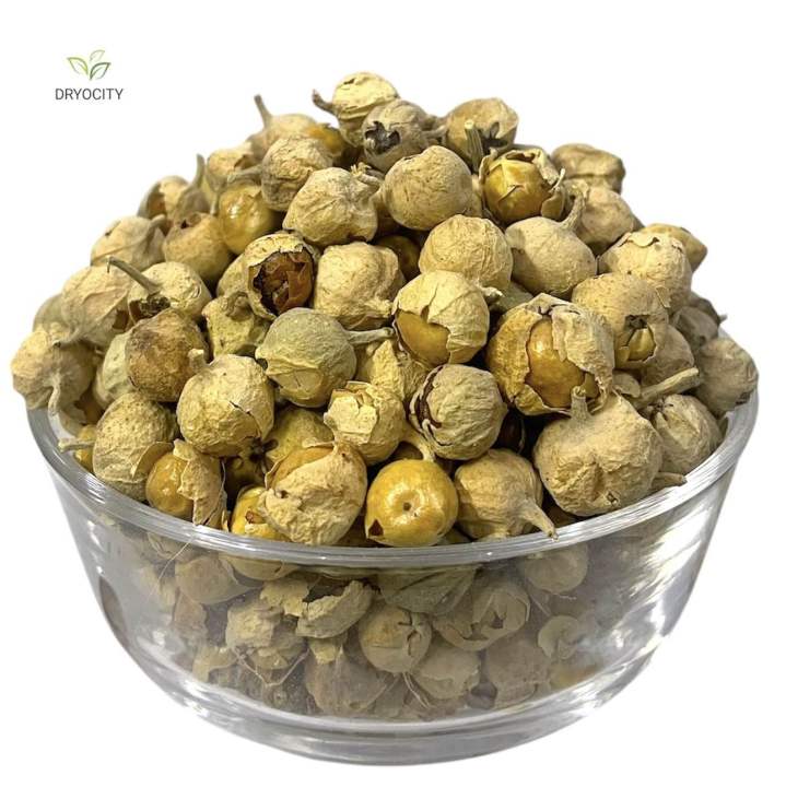 Paneer Dodi 100 Grams High Quality Withania Coagulans / Paneer Booti ...