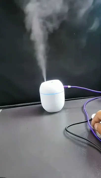 Portable USB Ultrasonic Air Humidifier & Essential Oil Diffuser, Car ...