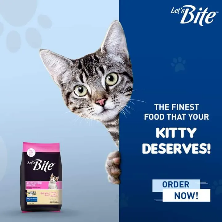 Let's Bite Active Kitten Ocean Fish 400g (1pcs) | Daraz.lk