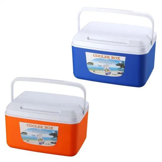 Cooler box 8L | Daraz.lk: Buy Online at Best Prices in Srilanka | Daraz.lk