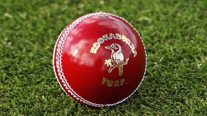 kooka Burra Hard ball for Cricket- Red and white hard ball available ...