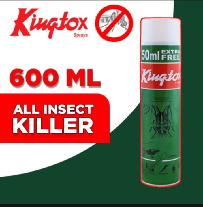 Kingtox Insect killer spray 600ml full size original | Daraz.pk