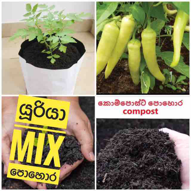 Urea mix organic compost 1 kg | Daraz.lk