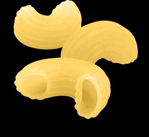 Macoroni Pasta elbow 1kg | Daraz.lk