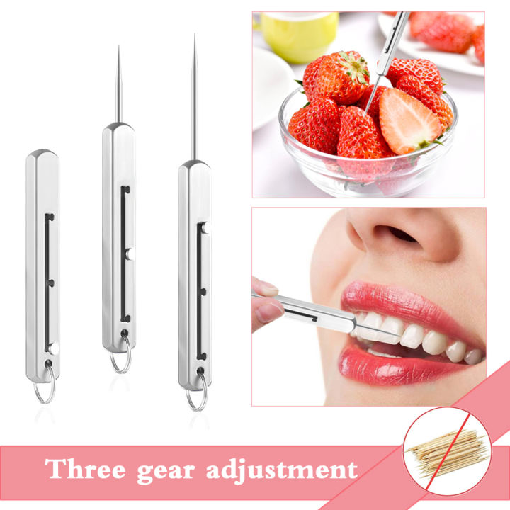 Titanium Toothpicks Silver Metal Toothpick Holder Reusable Metal Three ...