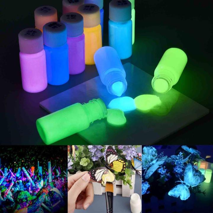 30g Luminous Fluorescent Pigment Paint Neon Phosphor Glitter Bright ...