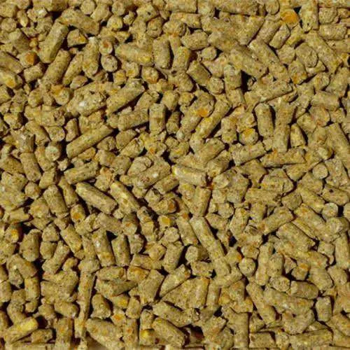 Chicken layer feed 1kg | Daraz.lk