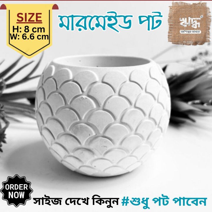 Mermaid/Fish scale shaped succulent/cactus indoor plant pot | Daraz.com.bd