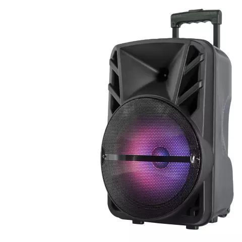Willico WP-42 (12" x 1) 1800W Wireless Speaker | Daraz.lk