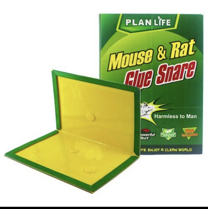 Mouse Board Sticky Mice Glue Trap High Effective Rodent Rat Snake Bugs ...