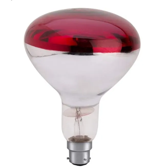 250 Watt Infrared Bulb B22 For Brooding Poultry Heating | Daraz.com.np