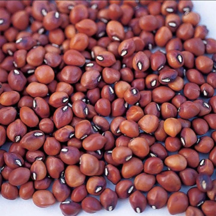 Dried Red Cowpea (Rathu Cowpi) 1Kg | Daraz.lk
