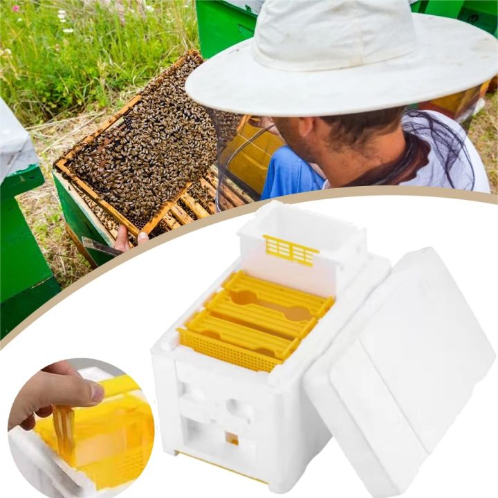 Bee Hive Foam Beekeeping Box King Beehive Garden Bee Keeping Bee Tool ...