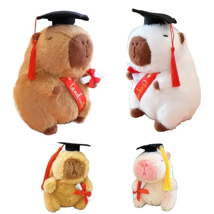 Doctor Hat Capybara Plush Toy Graduate Plush Dolls Cute Stuffed Animal ...