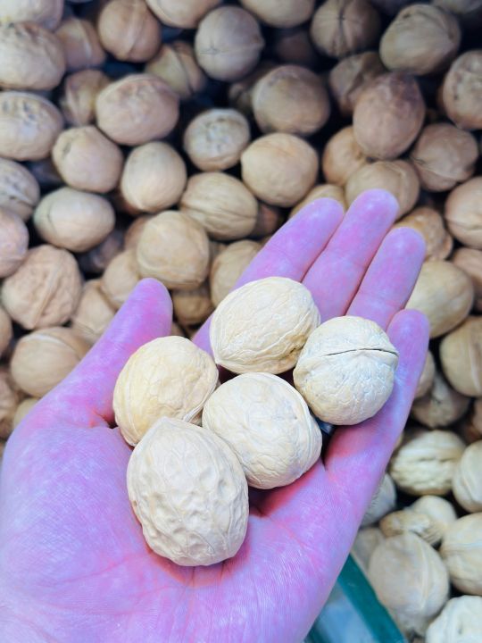 Walnut With Shell (chaina Akhrot)-1kg | Daraz.pk