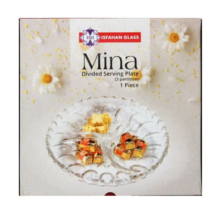 Divided Serving Plate (3 Partitions),Glass Serving Tray with Partitions ...