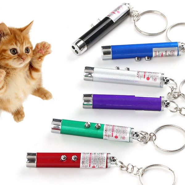 Pet Cat LED Toys Laser Lights | Daraz.com.bd