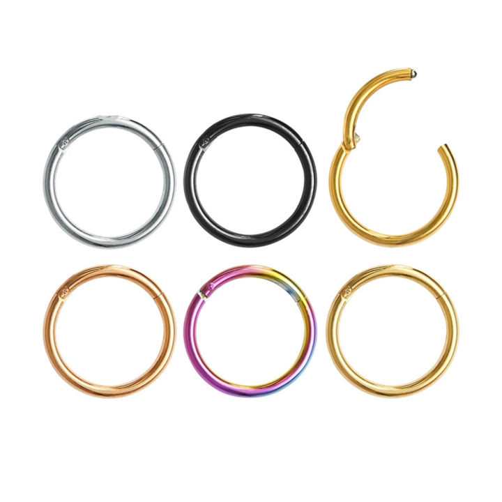2PCS Titanium Hinged Segment Nose Ring Set for Cartilage and Lip ...