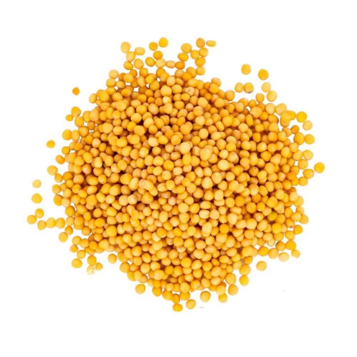 White Mustard Seeds / Safaid Pili Sarson / Yellow mustard Seed 100 gm ...