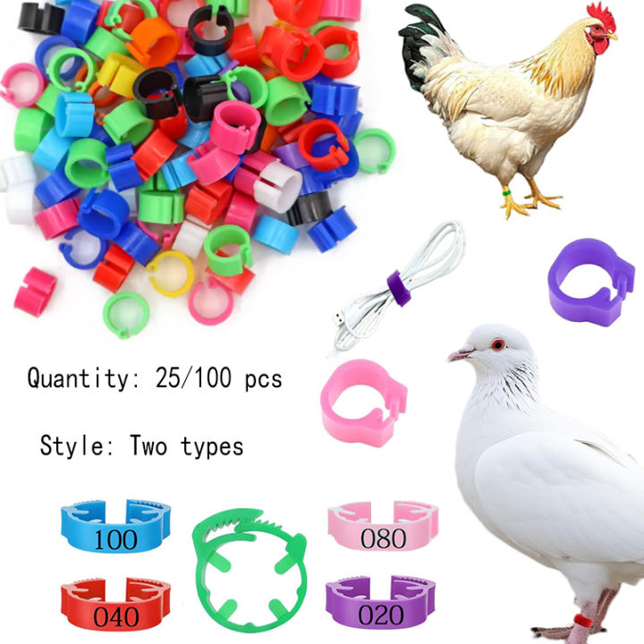 Chicken Foot Rings Label Buckles Plastic Adjustable Poultry Leg Buckles ...