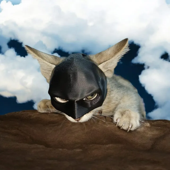 Batman Cat Mask Toy – Cute Superhero Costume for Pet Cats | Adjustable ...