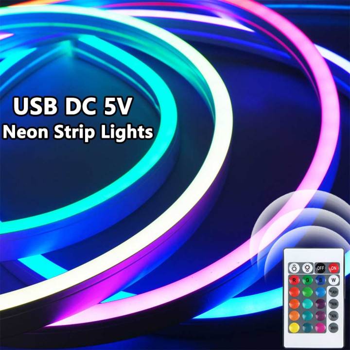RGB Neon Strip Lights DC5V USB LED Strip 1M/2M/3M/4M/5M IP65 Waterproof ...