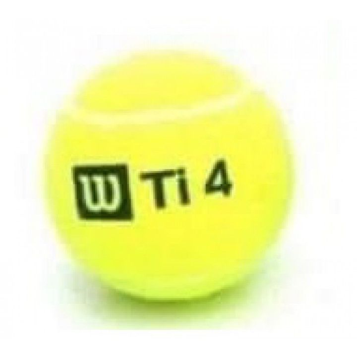Wilson Wt Ball 4 | Daraz.lk: Buy Online at Best Prices in Srilanka ...