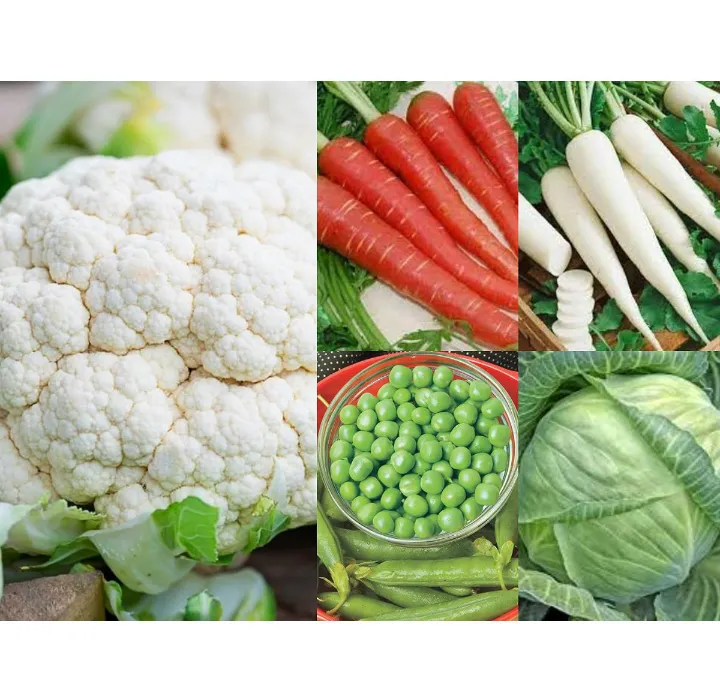 Pack of 5 Winter Vegetables Seeds, Kitchen Gardening Vegetable Seeds ...