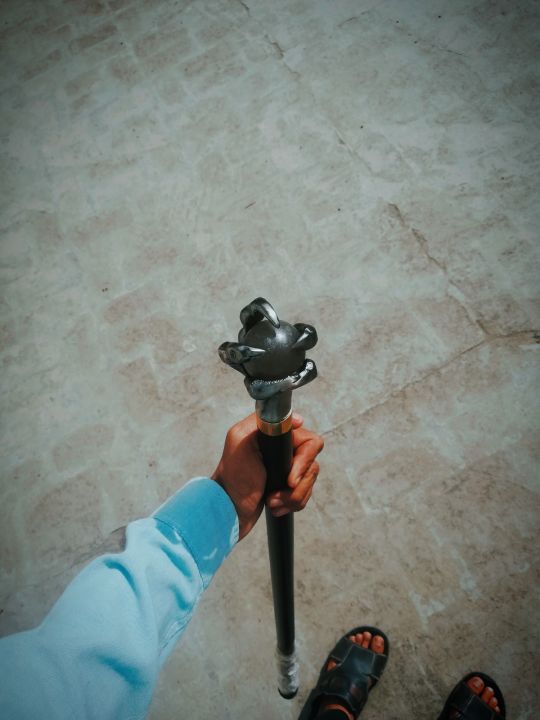 High-quality Self-Defense Dragon's Claw with Orb Walking stick | Daraz.pk