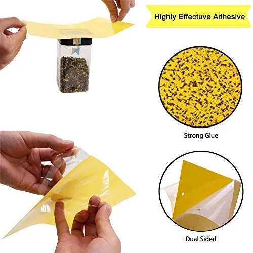 Sticky Insect Board Powerful Flycatcher Yellow Blue Sticker Sheet ...