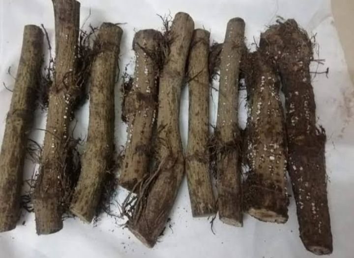 Chuijhal dal 10 pcs | Daraz.com.bd