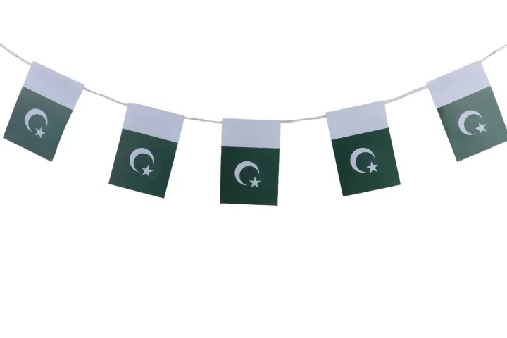 Pakistan flag Bunting banner 10feet,10 flags in one bunting 10 bunting ...