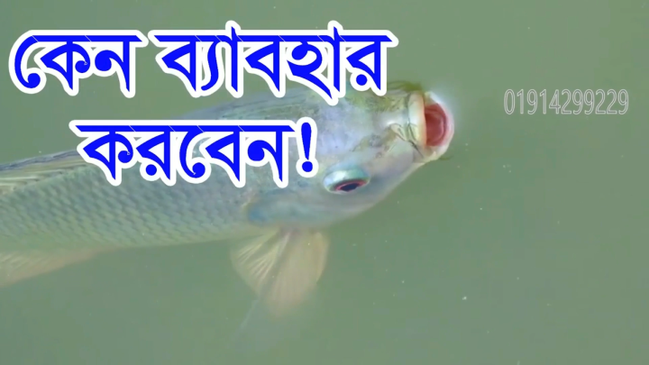 Water Booster -3kg & Fish Booster -3kg (Thailand) | Daraz.com.bd