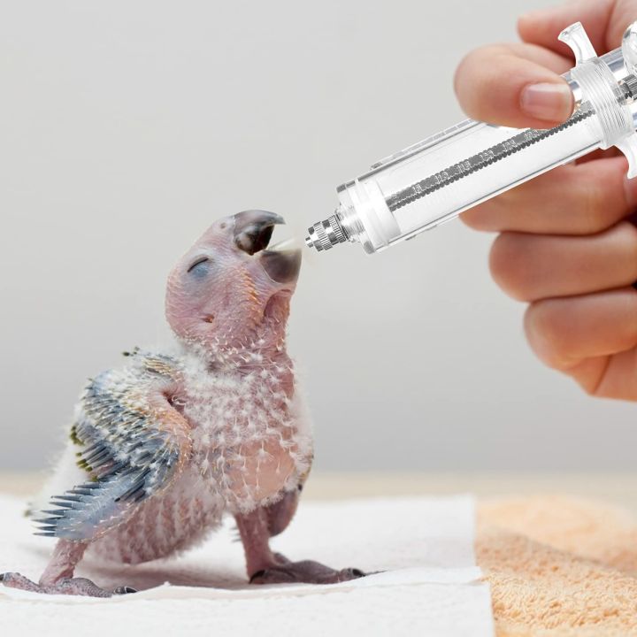 Bird Feeding Syringe Copper 100ml | Daraz.lk