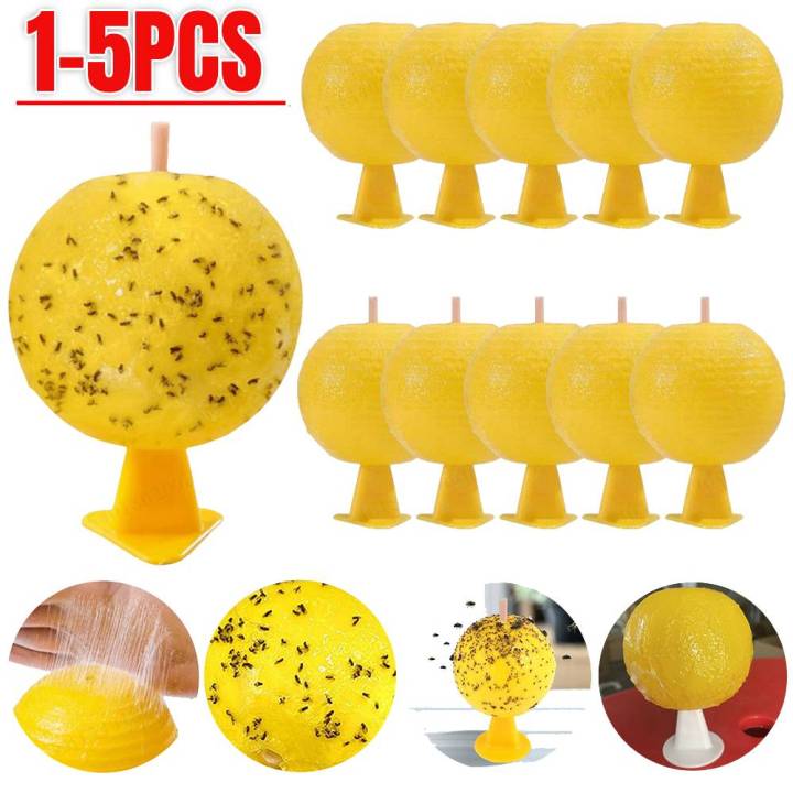 1-5PCS Ball Fruit Fly Catcher Pest Control Sticky Trap Kitchen Insect ...