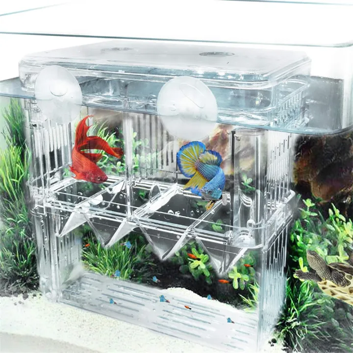 1Pc Peacock Fish Breeding Box Fish Aquarium Acrylic Isolation Box Fish ...