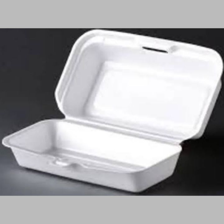 Disposable Foam Box Container Snack/Burger/Food - (50 pcs) | Daraz.pk