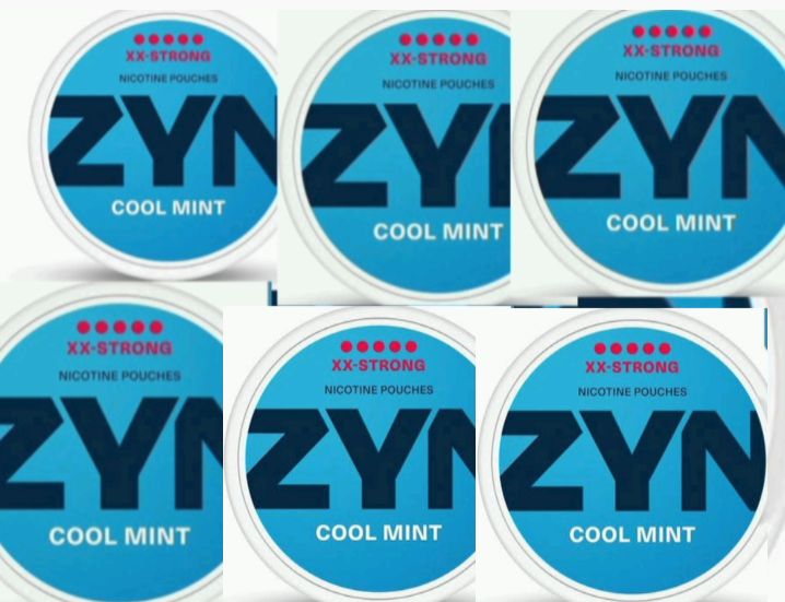 zyn cool mint 5 dots (6) packs | Daraz.pk