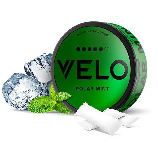 Velo 5 Dot | Mini Pouches | Berry Frost | Daraz.pk