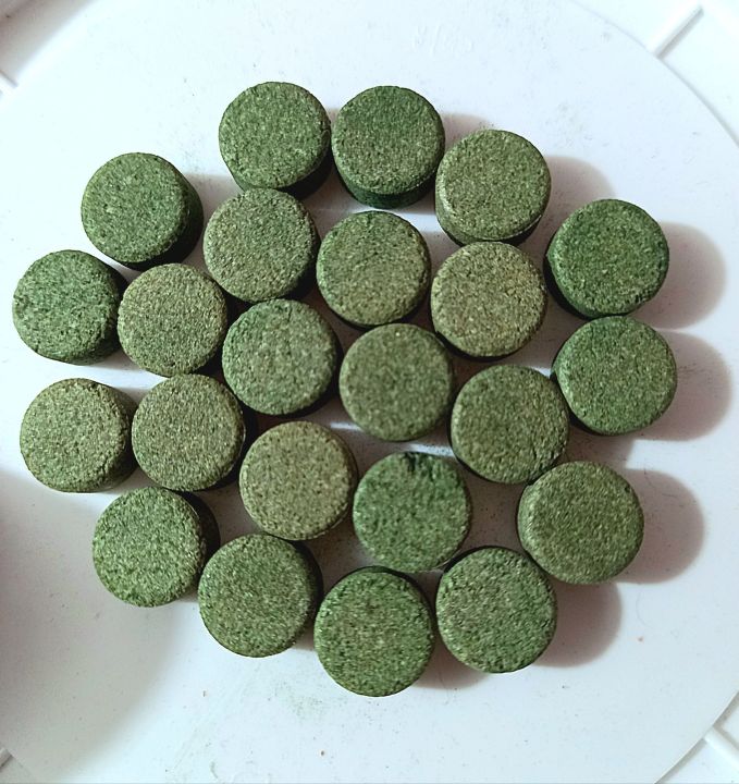 YEE Spirulina Tablet 50pcs Repack (+5 Pcs Free) | Aquarium Fish | Small ...