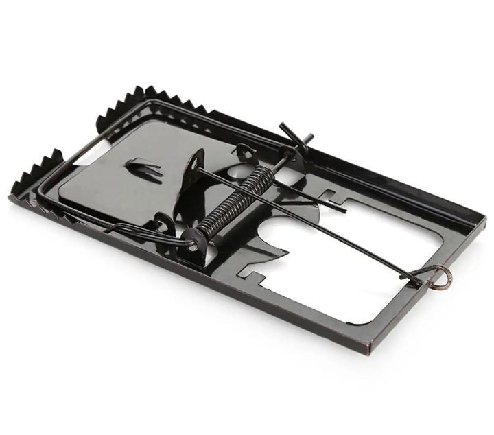 Metal Mice Trap Rat Catcher Mouse Bait Snap Spring Catcher Mice ...