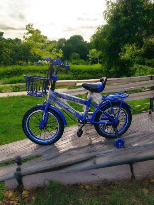 Kids 16 Inch Cycle For 4 To 7 Year Age | Daraz.com.np