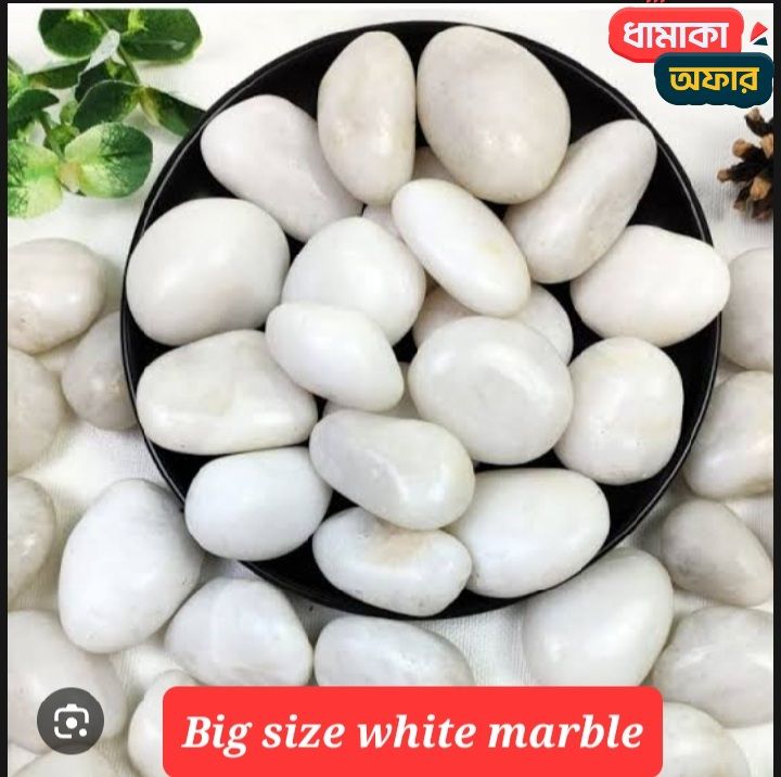 Marble White Stone Premium quality Big size for Aquarium - 500gm -1kg ...